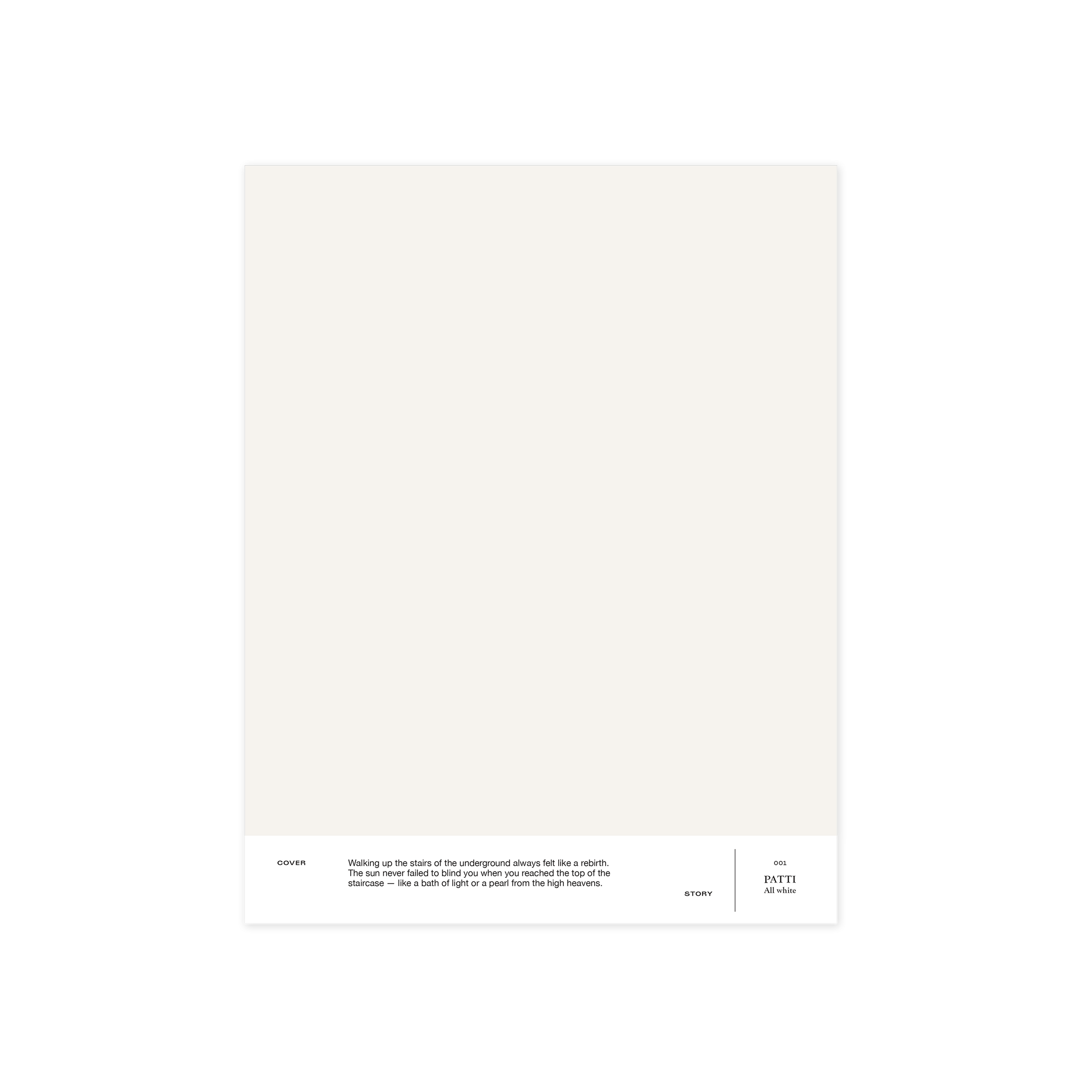 White paint sample set