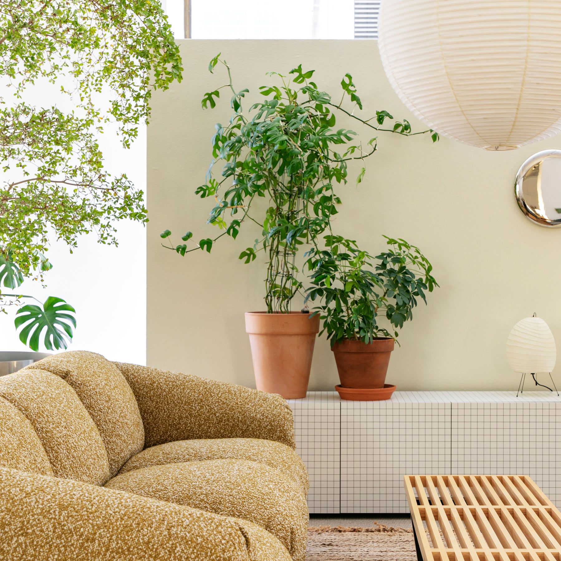 Plastic-free interior paint in curated shades | Cover Story