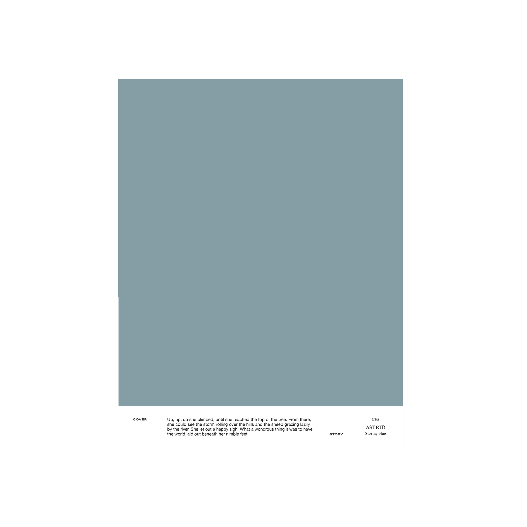 ASTRID matte finish interior paint, stormy blue