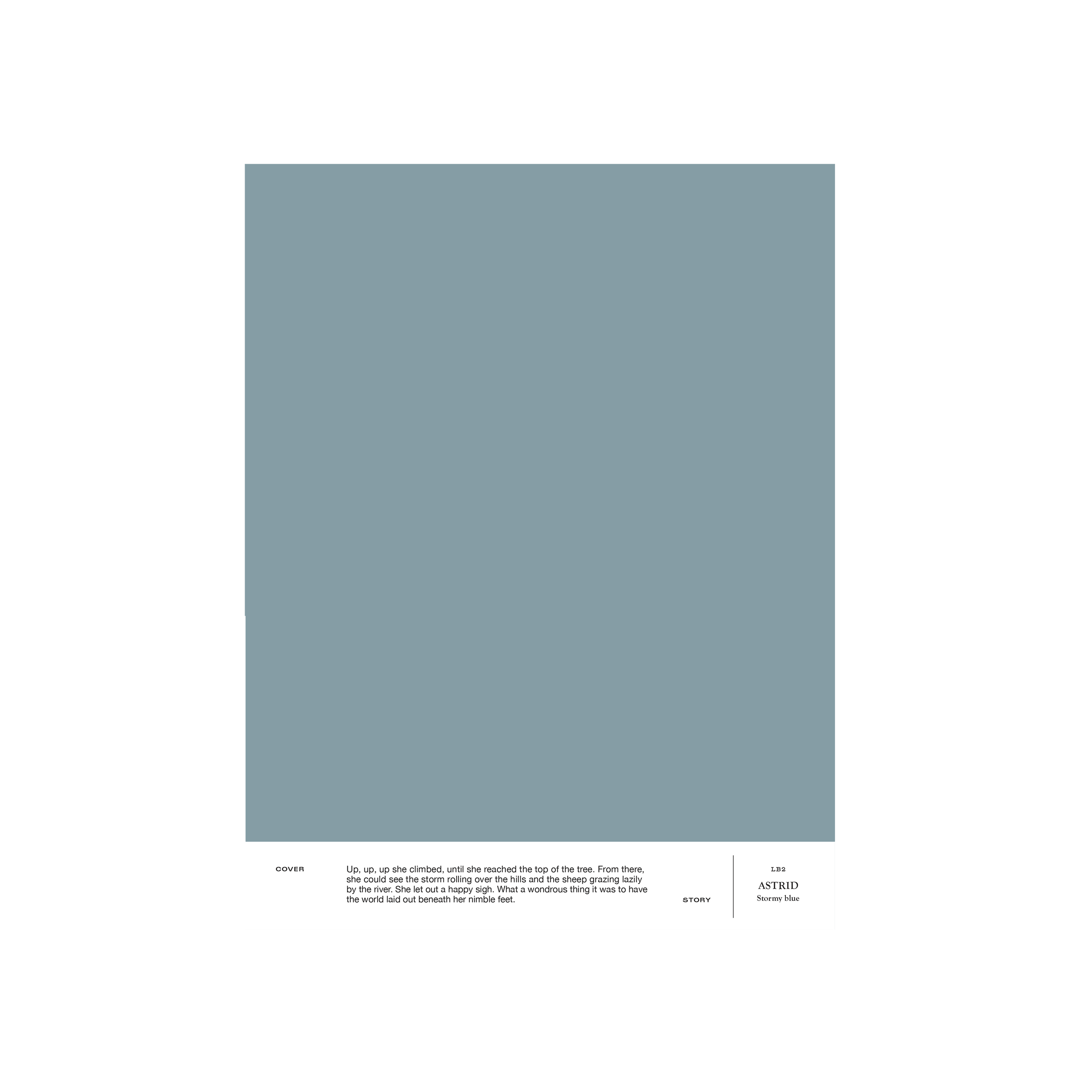 ASTRID matte finish interior paint, stormy blue