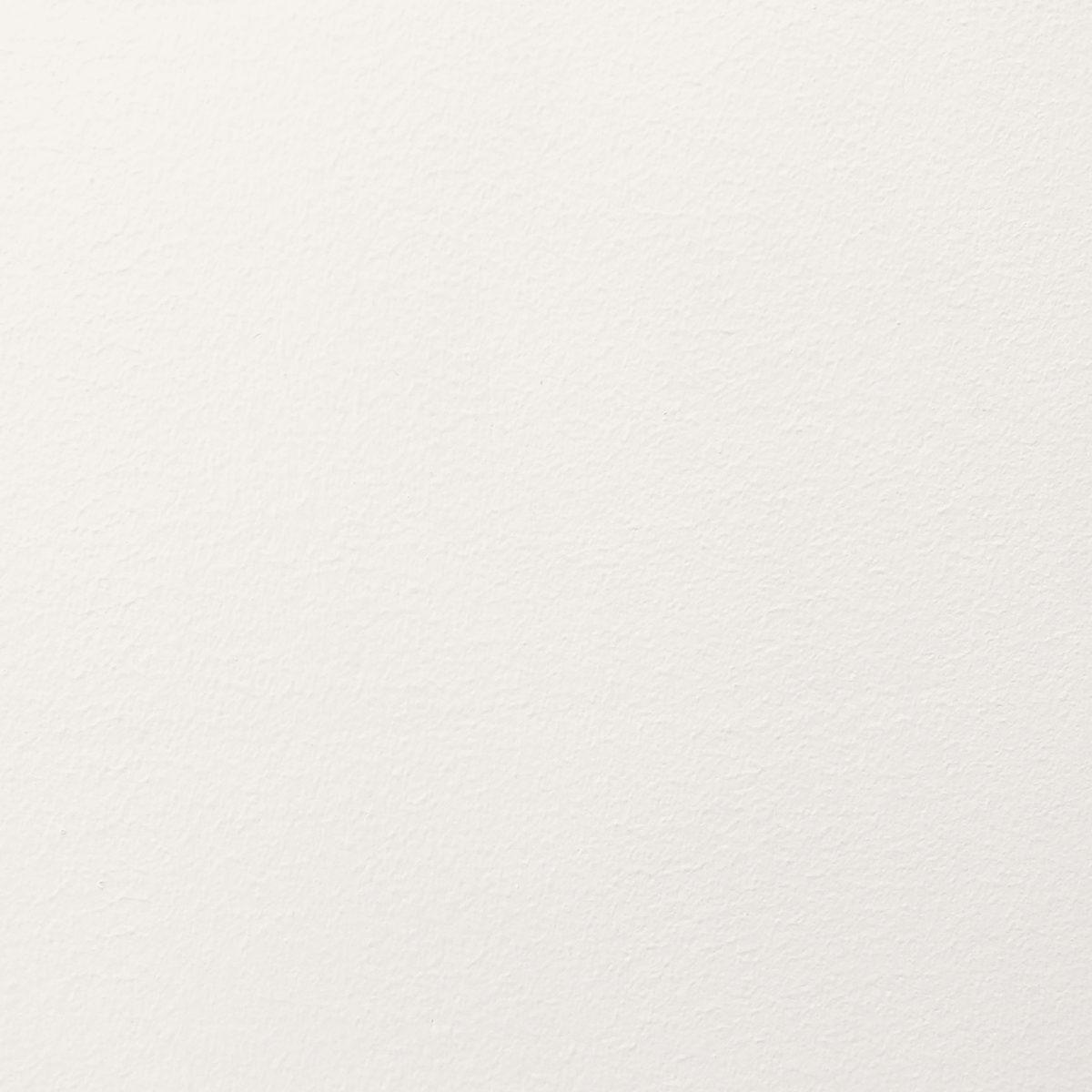 PATTI matte finish interior paint, all white