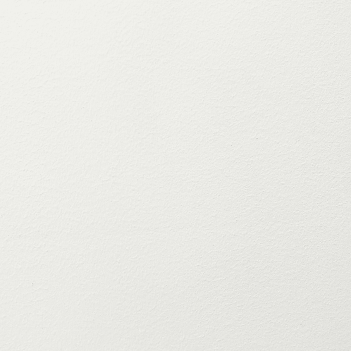 EMILY matte finish interior paint, paper white