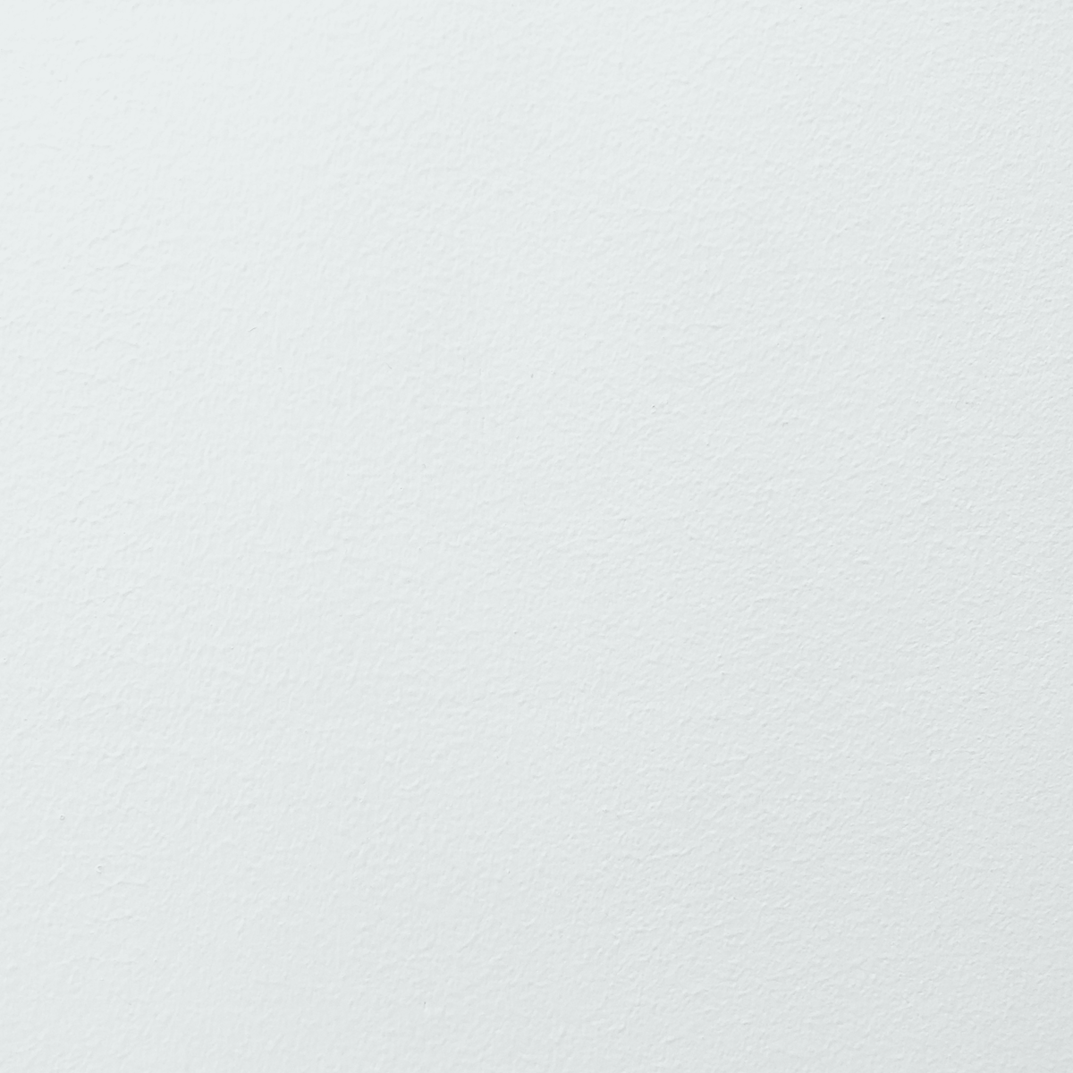 MAGNUS matte finish interior paint, ice white