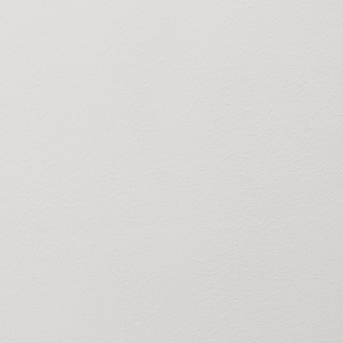 SOPHIE matte finish interior paint, pale warm grey