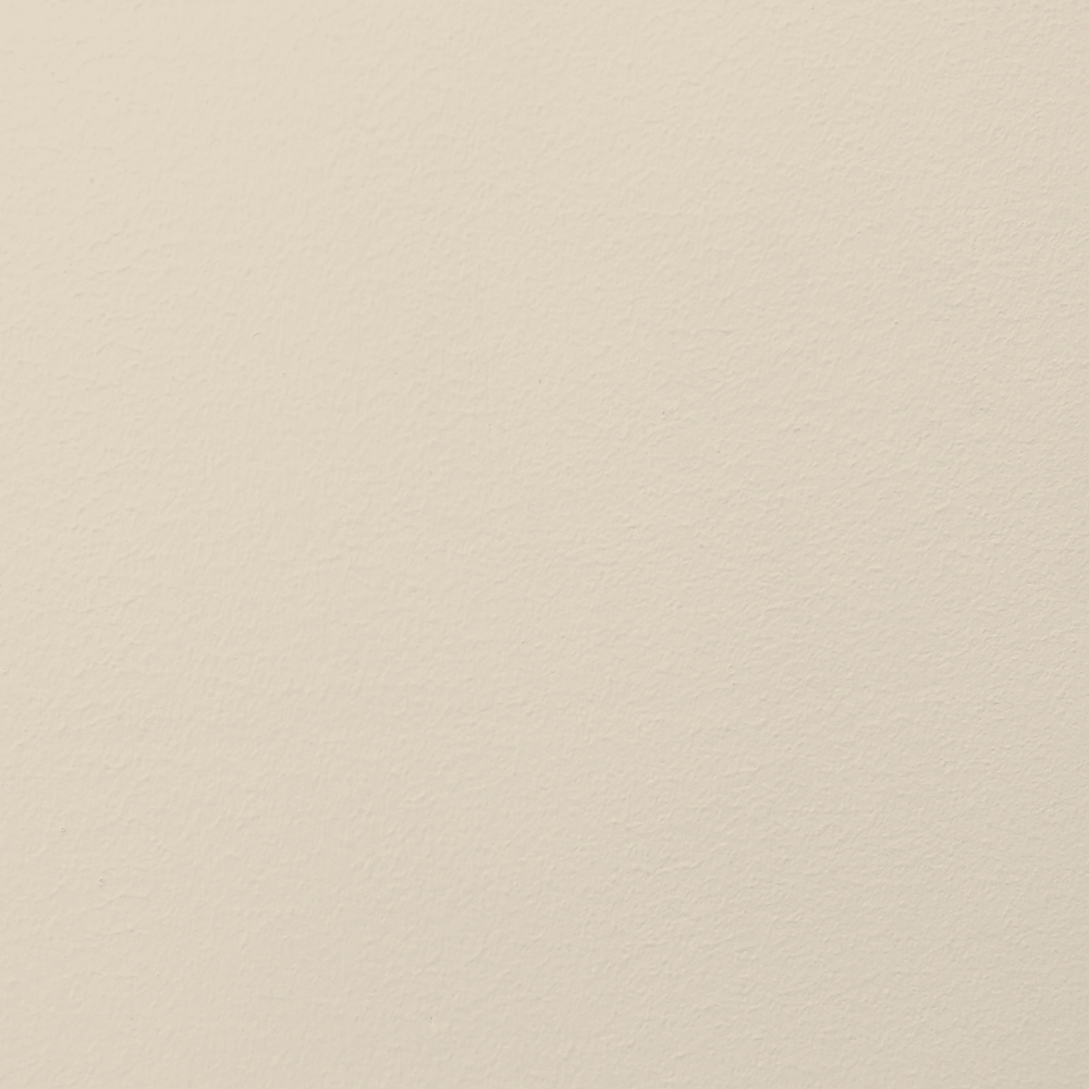 MAYA matte finish interior paint, warm beige