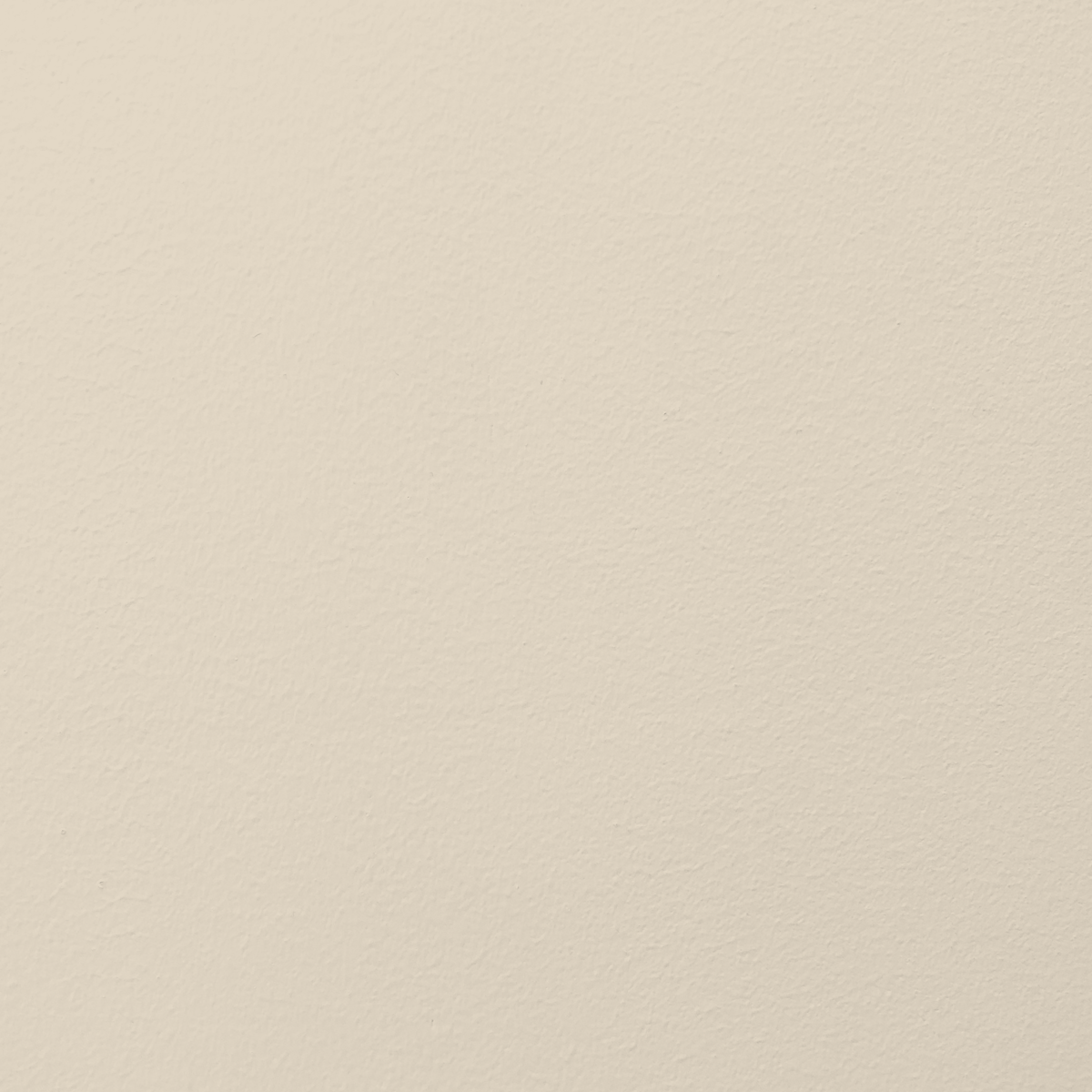 MAYA matte finish interior paint, warm beige