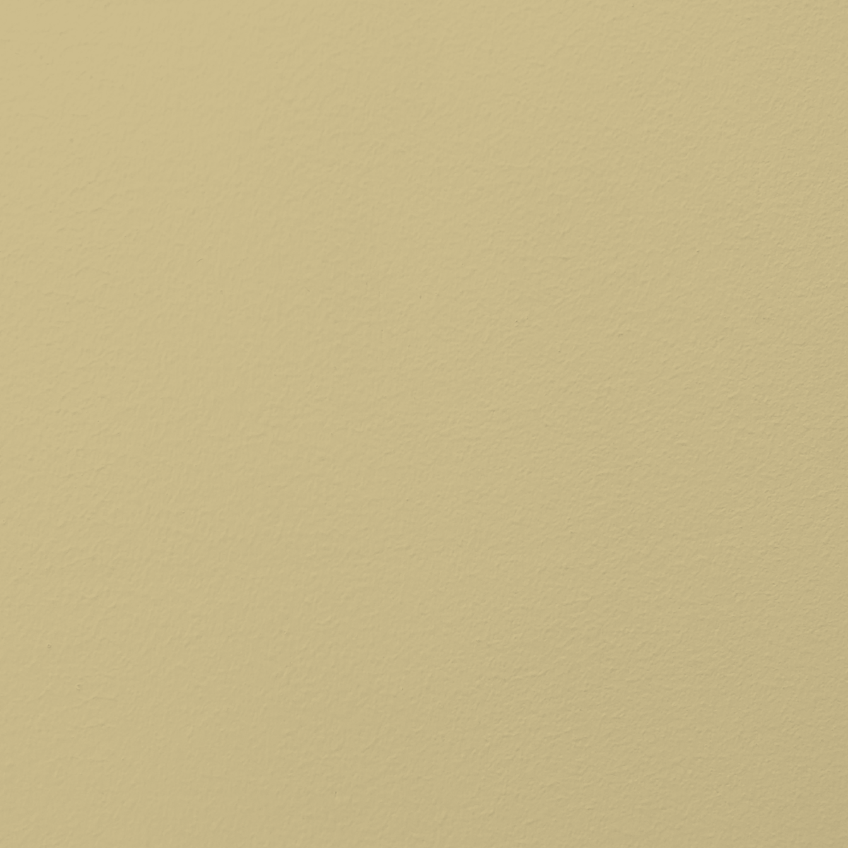 VIRGINIA matte finish interior paint, straw green