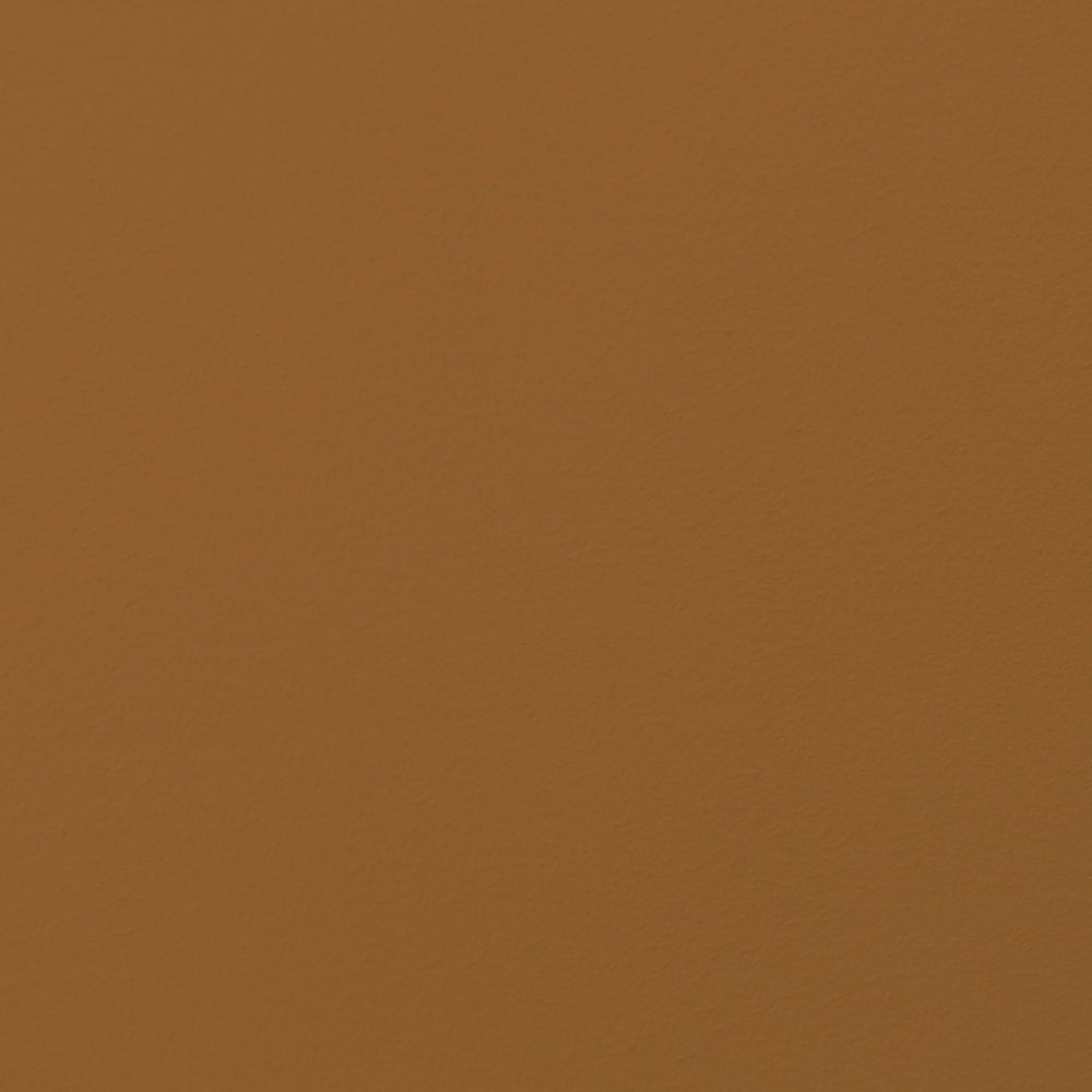 MIO matte finish interior paint, salty caramel