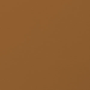 MIO matte finish interior paint, salty caramel