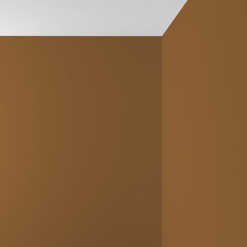 MIO matte finish interior paint, salty caramel