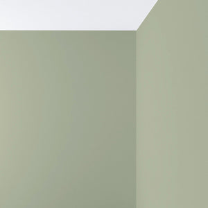 JILL matte finish interior paint, sage green