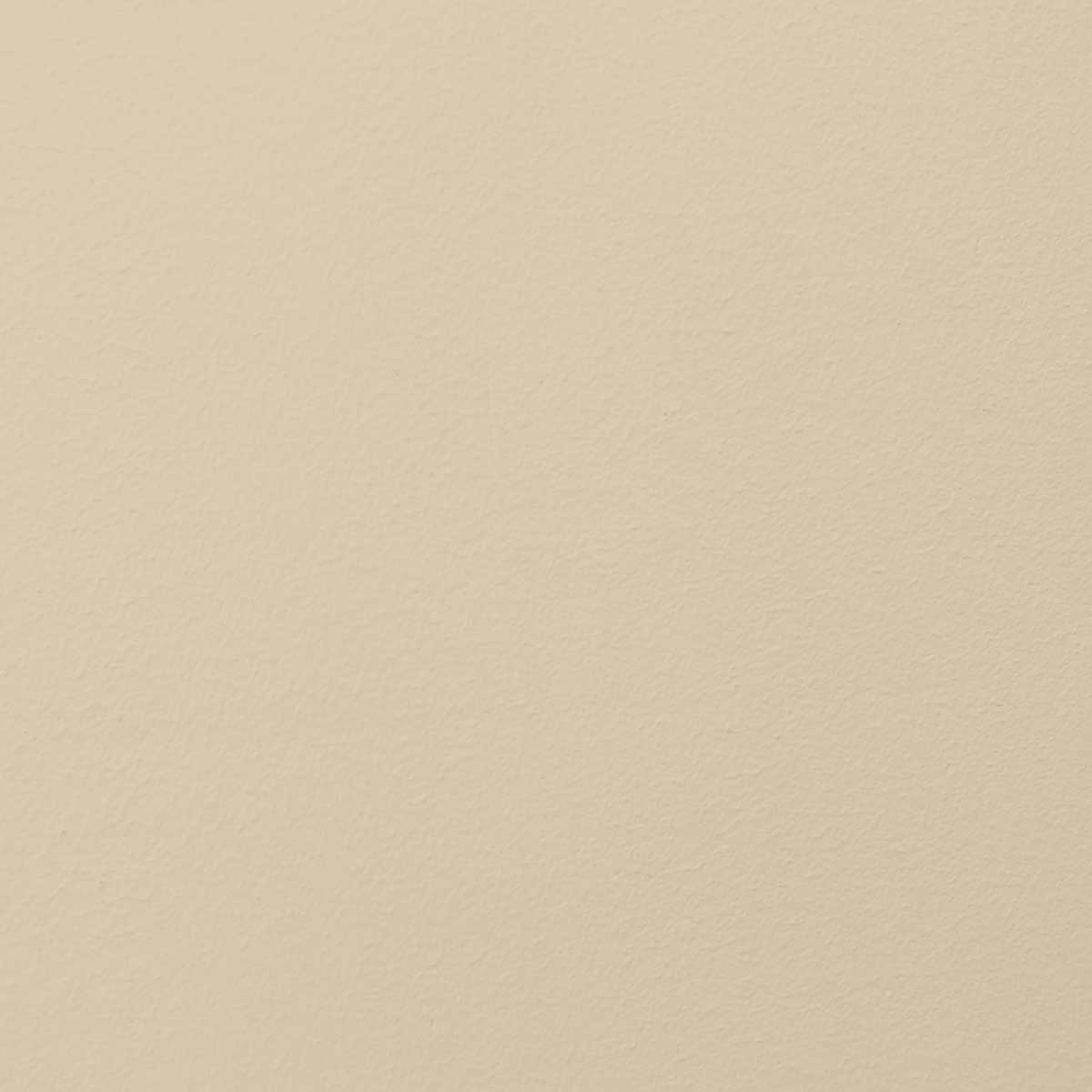 EEVA matte finish interior paint, timeless beige